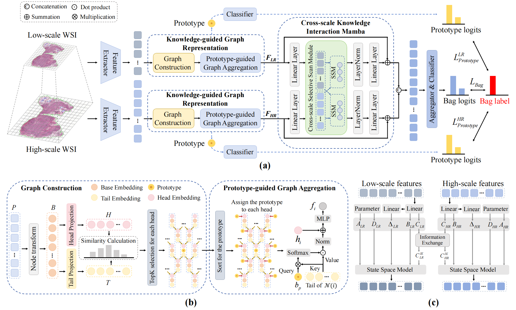 [MICCAI 2025] Knowledge-guided Multi-scale Graph Mamba for Whole Slide Image Classification